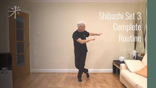 Shibashi 3 - Full Routine - ActiveQi